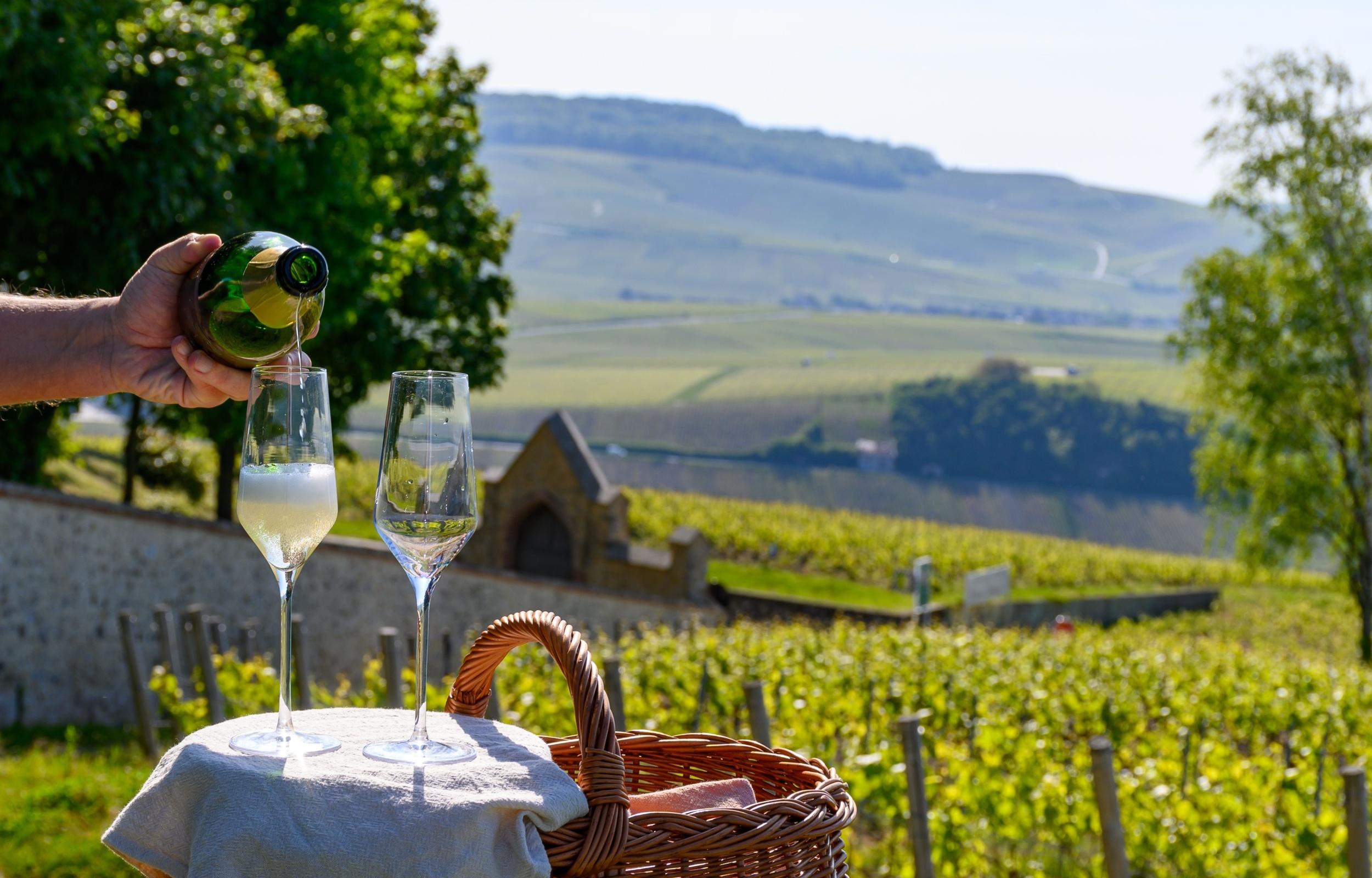 Nella regione dello champagne: cosa vedere tra storia e vigneti francesi